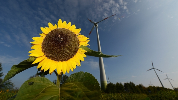 Nature Rules: 10 Biomimicry Projects that are Changing Product Design ...