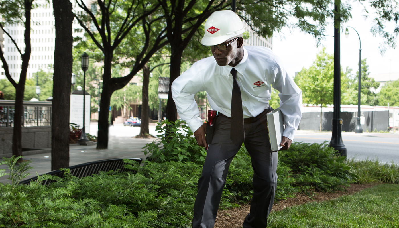 Expert Advice To Help Protect Your Facility From Pests | IndustryWeek